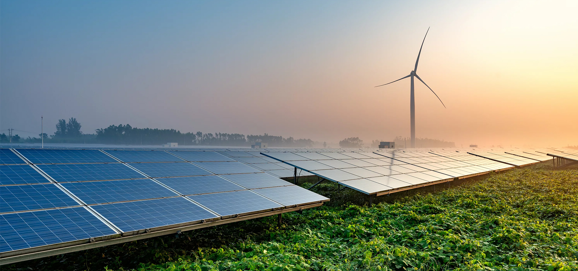 Home - Apex Power Concepts